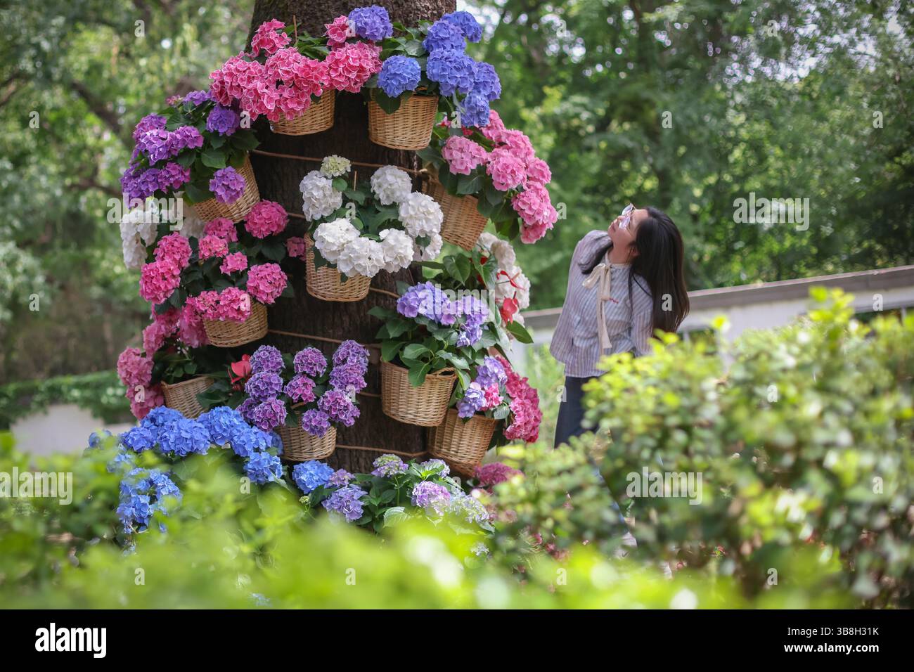 **CHINESE MAINLAND, HONG KONG, MACAU AND TAIWAN OUT** Tourists admire ...