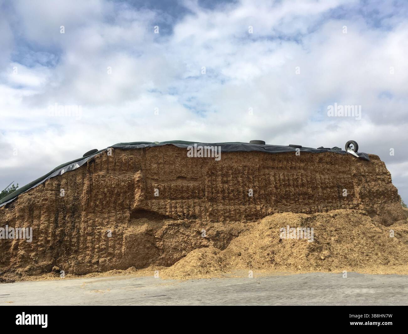 Heap nature conservation compost covered with bright foil. Heap nature ...