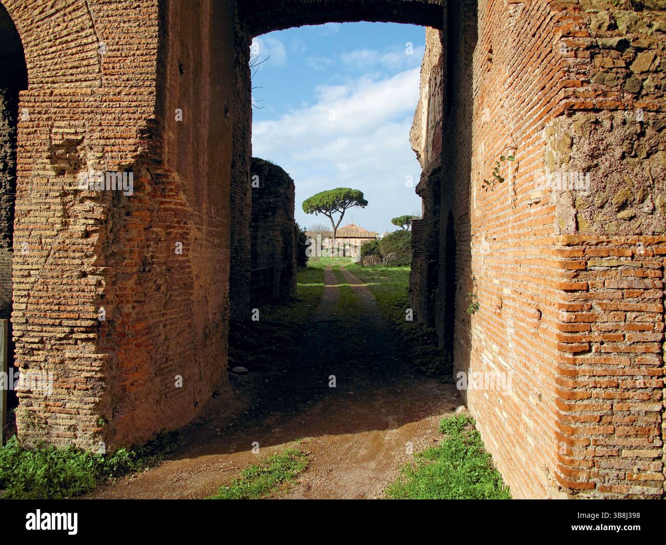 Imperial palaces on the Palatine. Italy, Lazio, Rome, Archaeological ...