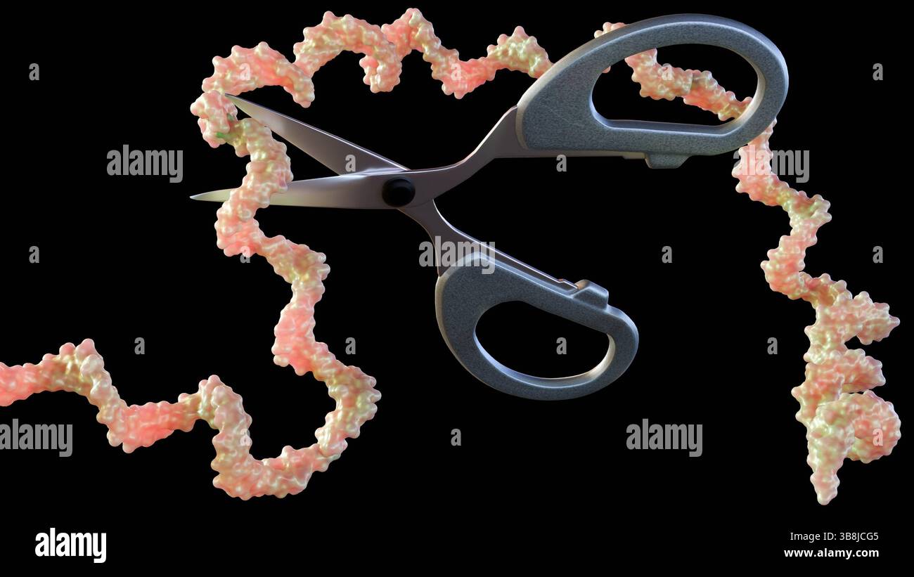 Trna processing hi-res stock photography and images - Alamy