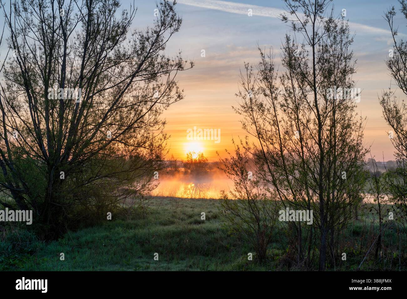 Cotswolds rewilding scheme hi-res stock photography and images - Alamy