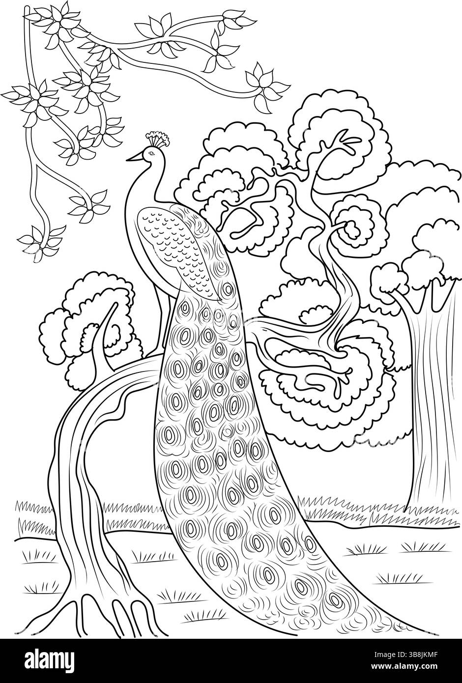 Peacock beautiful feathers outdoors Cut Out Stock Images & Pictures - Alamy