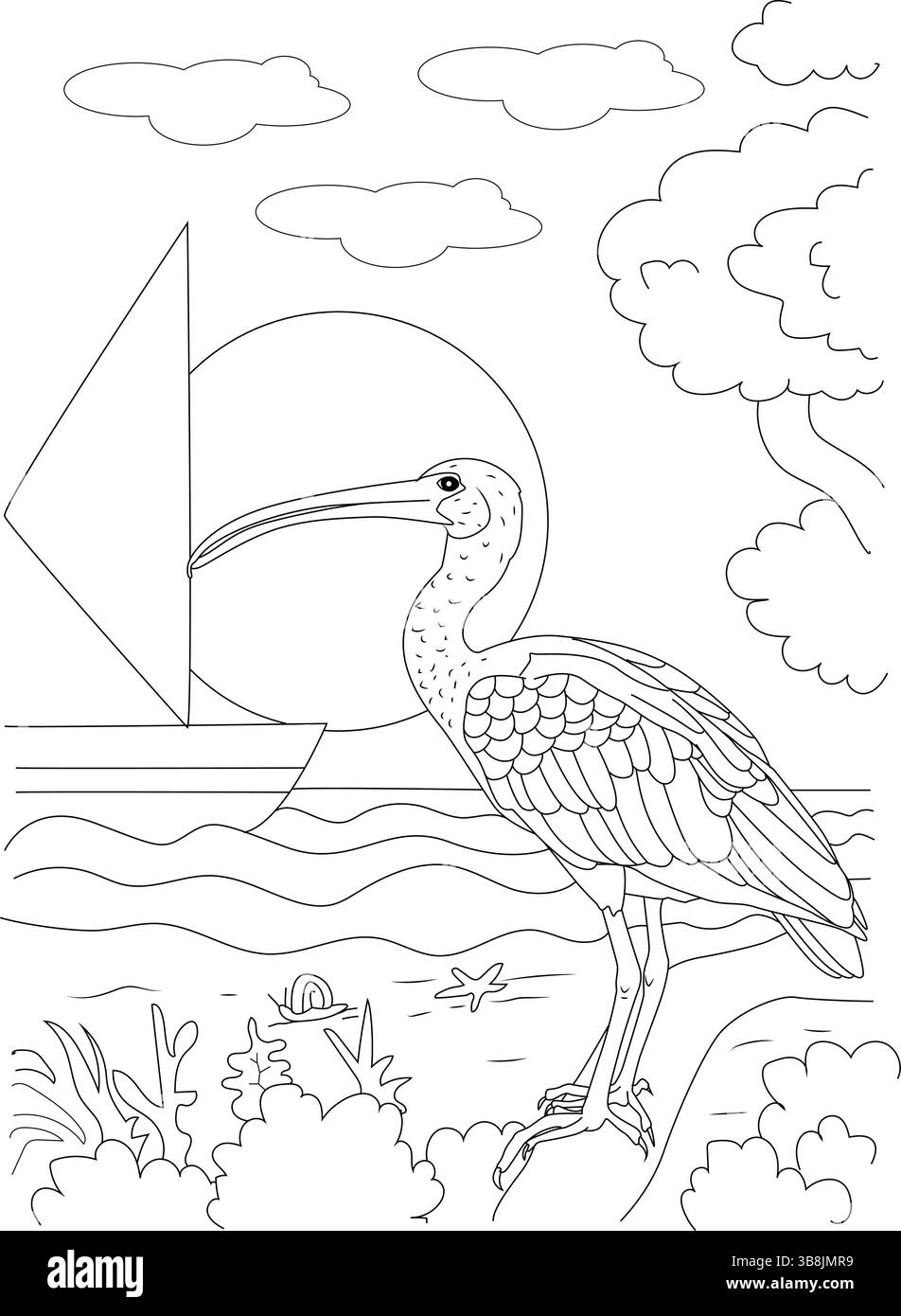 Black and white line art outline illustration of an Ibis bird standing ...