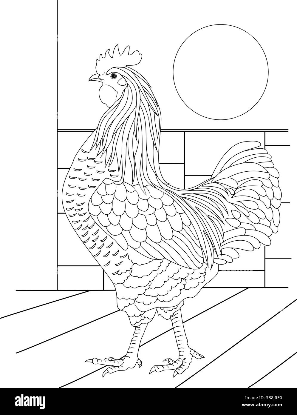 Detailed black and white line art illustration of a proud rooster ...