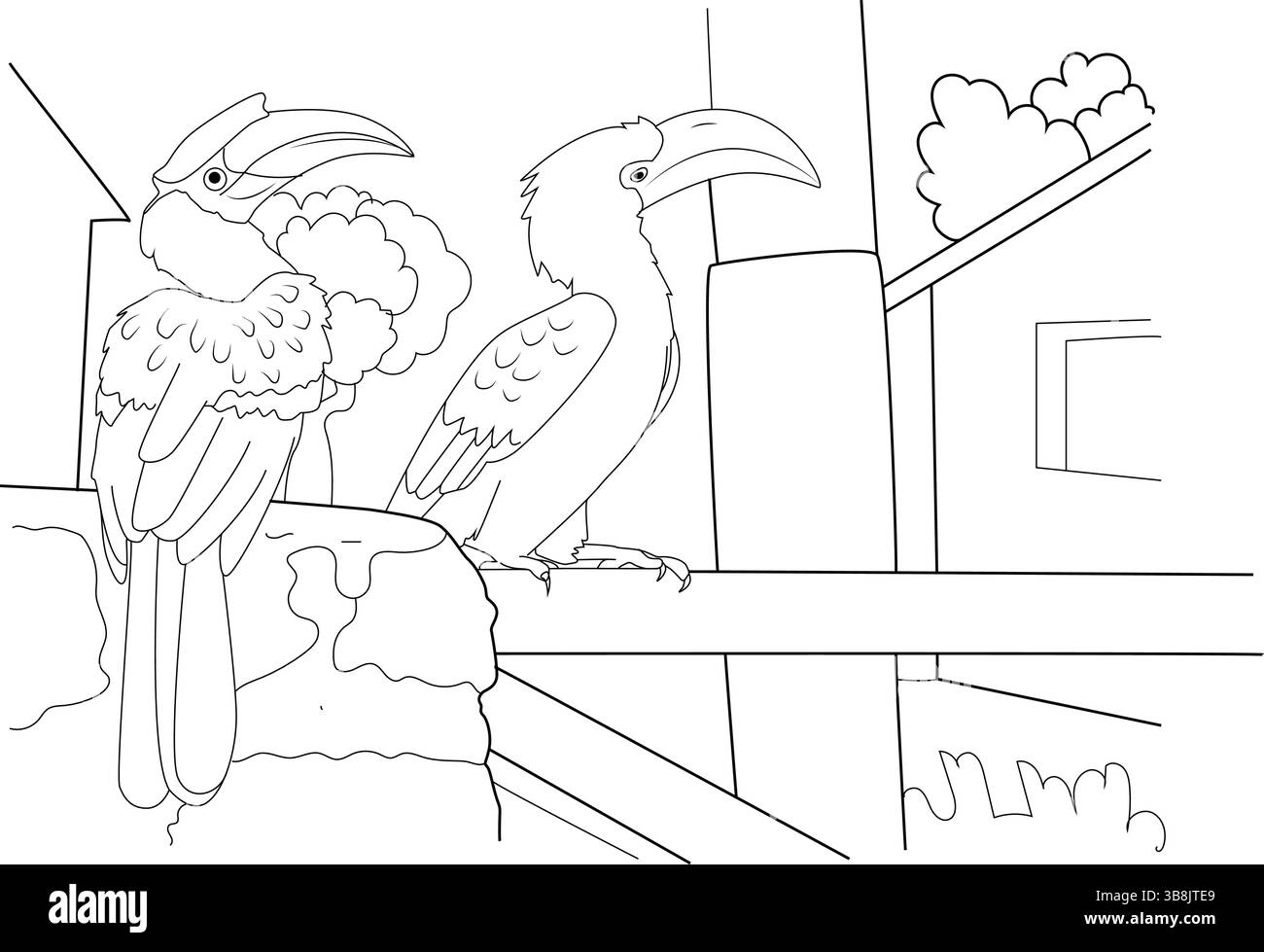 Black and white line drawing featuring two majestic hornbill birds ...