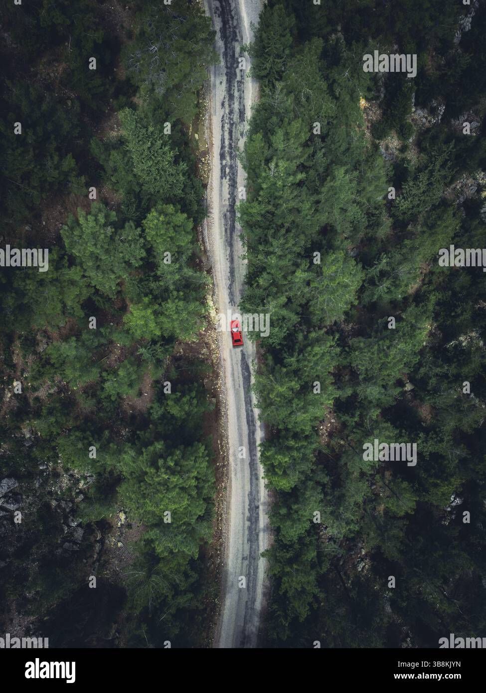Driving car in forest view hi-res stock photography and images - Alamy