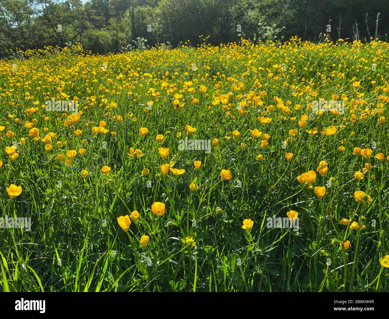 Springtime rural scene hi-res stock photography and images - Alamy