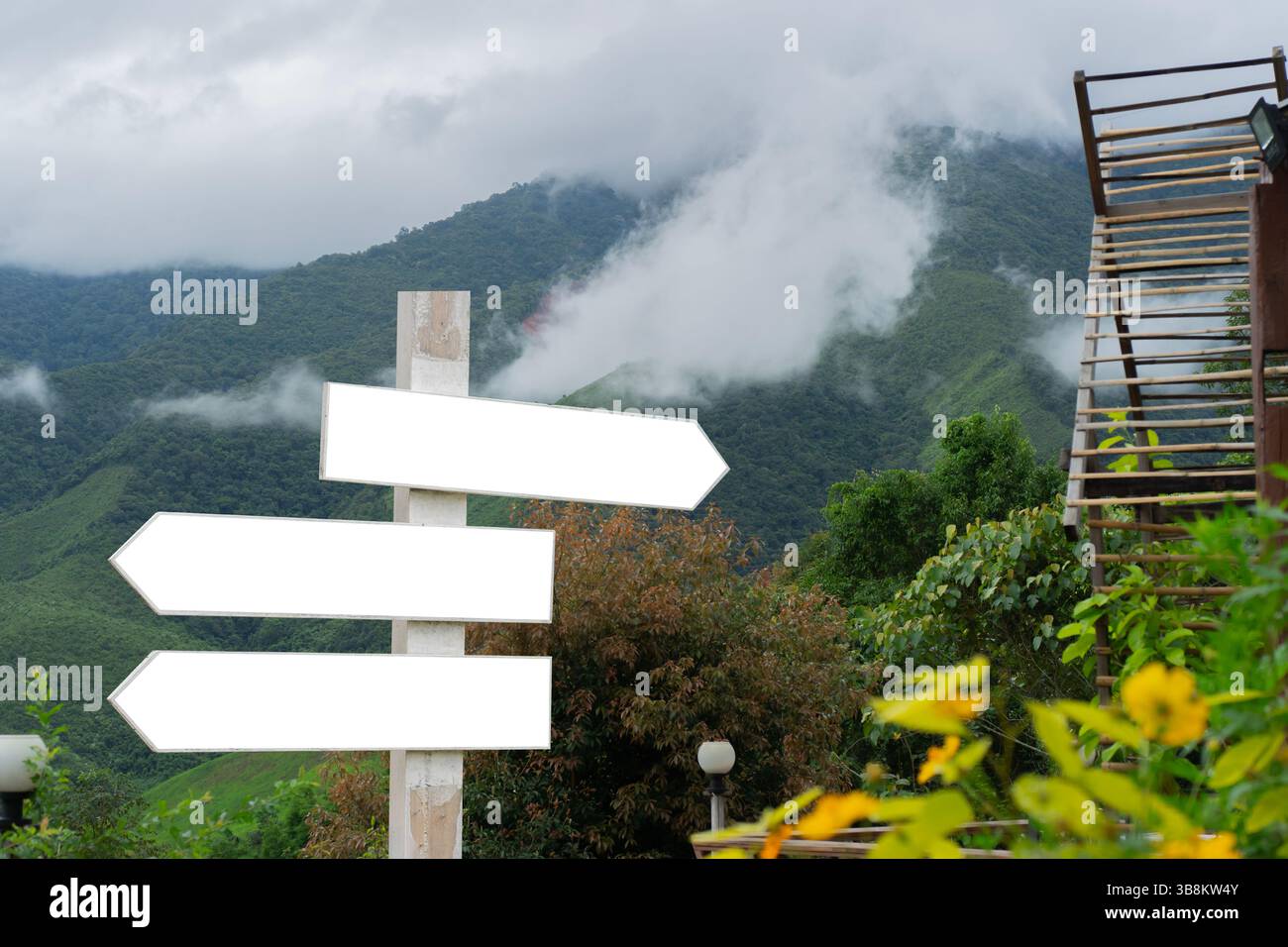 Shot view of three wooden directional signs on a pole over foggy ...