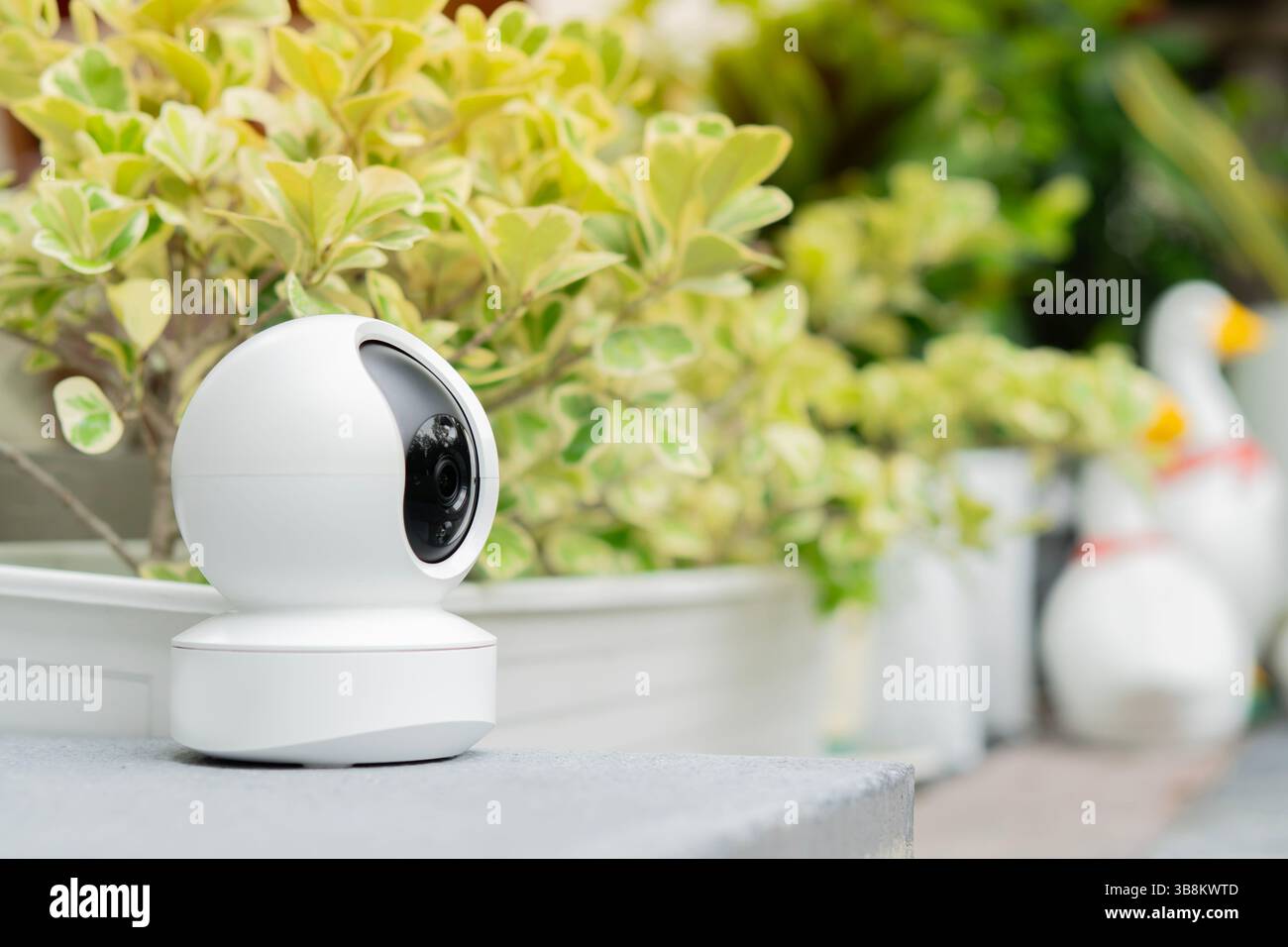 Close up smart CCTV camera installed in the green garden at home ...