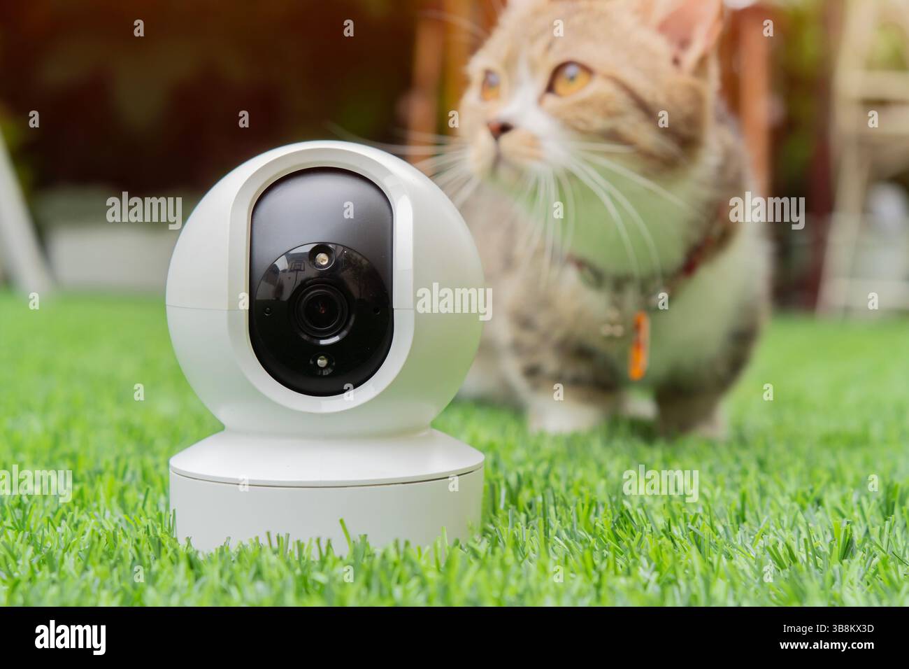Security camera CCTV setting outdoor in the garden with blurred of ...
