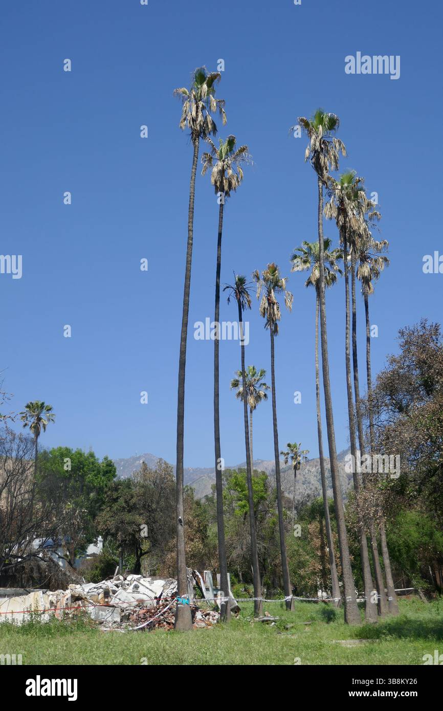 Altadena, California, USA 7th May 2025 Altadena aftermath and cleanup ...