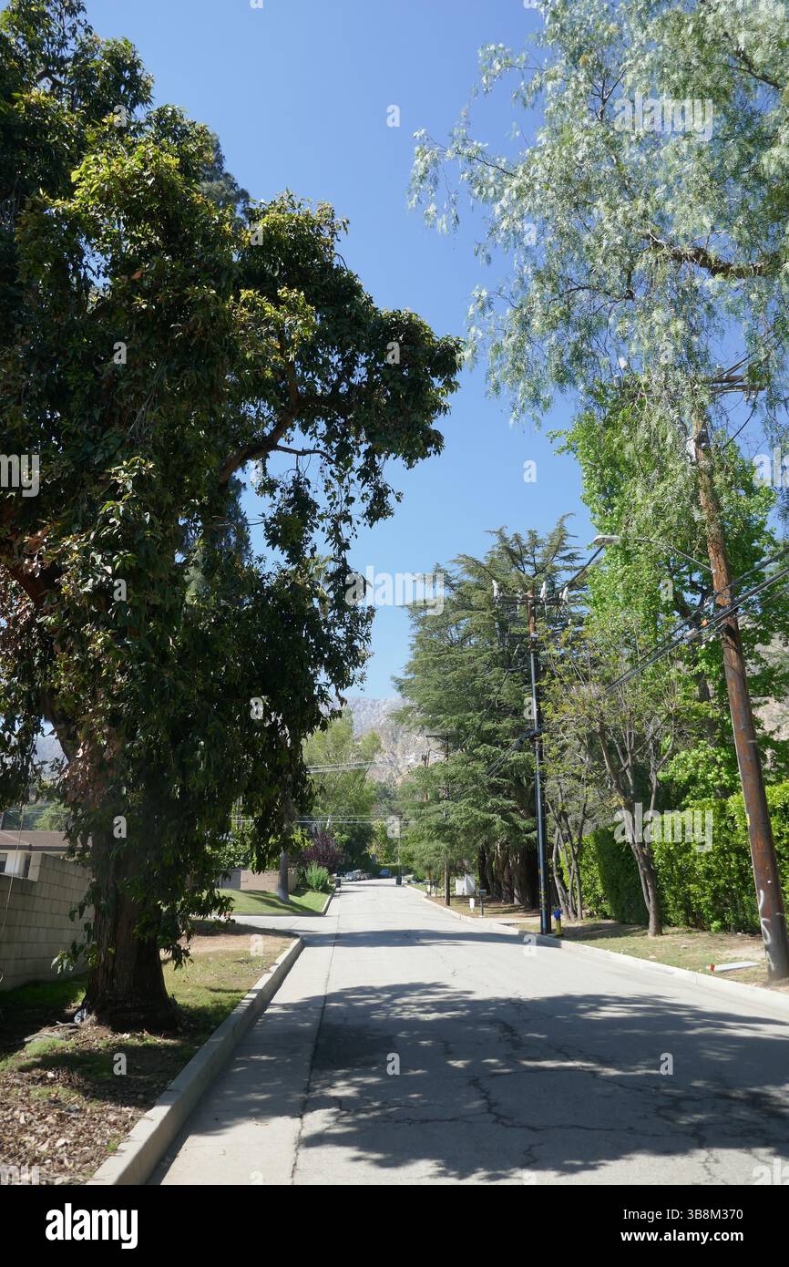 Altadena, California, USA 7th May 2025 Altadena aftermath and cleanup ...