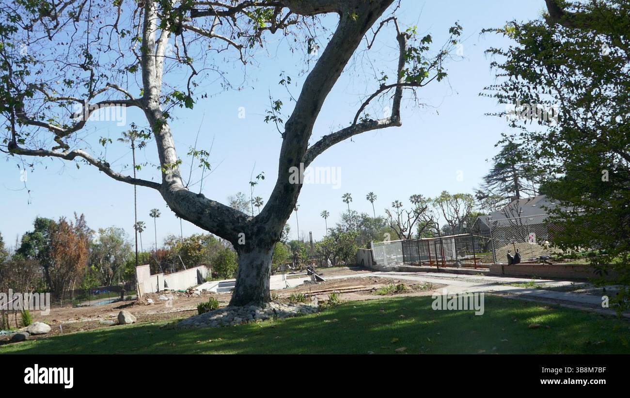 Altadena, California, USA 7th May 2025 Altadena aftermath and cleanup ...