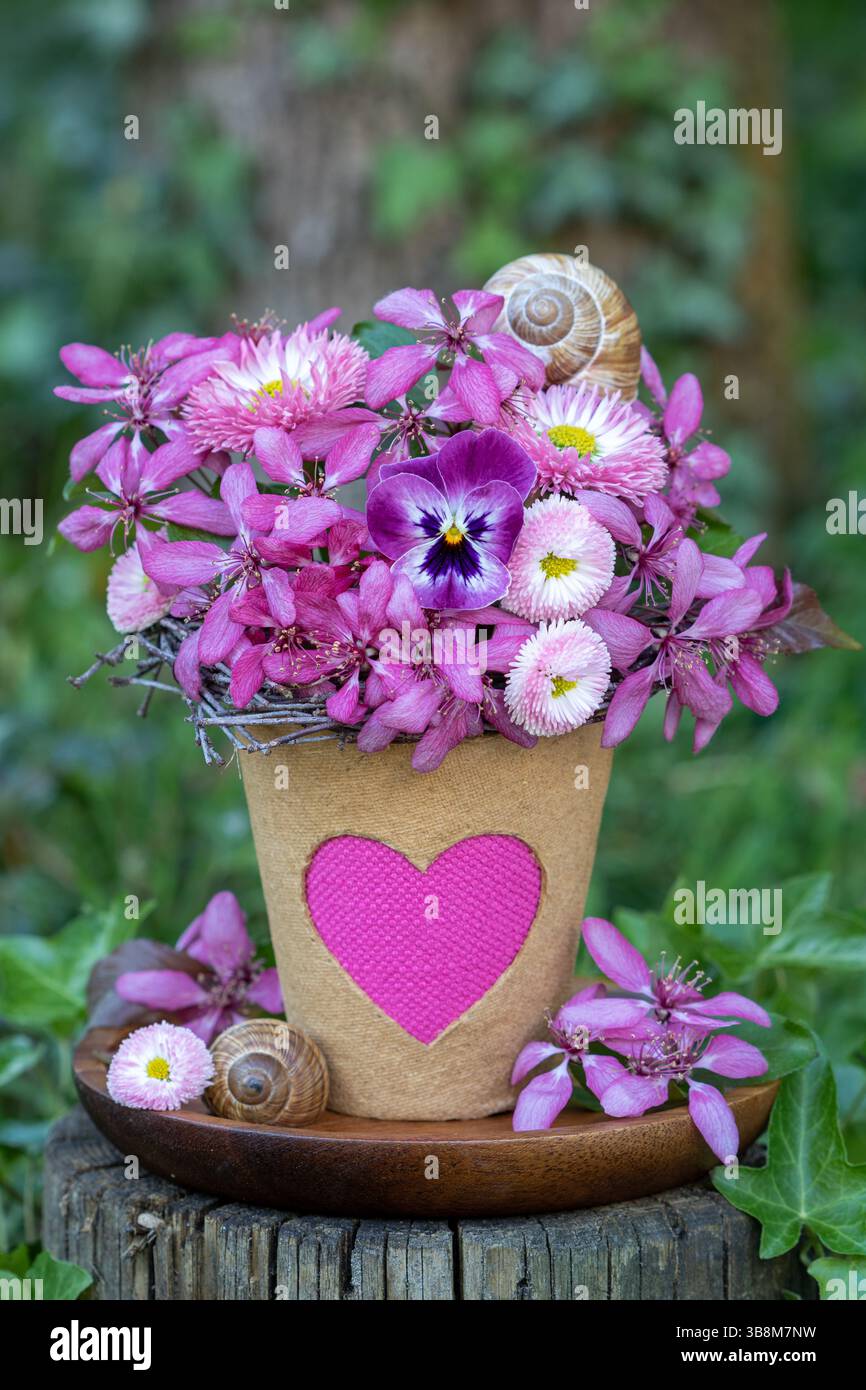 romantic flower arrangement with pink viola flower, bellis and ...