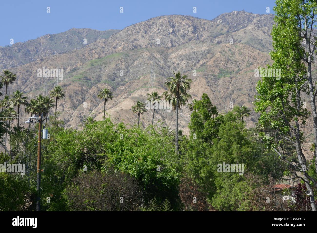 Altadena, California, USA 7th May 2025 Mountains and Palm Trees with ...