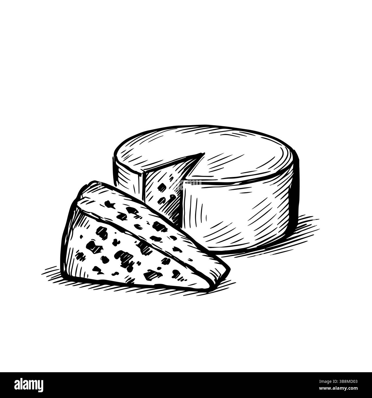Sketch cheese. Ink sketch isolated on white. Freehand vector ...