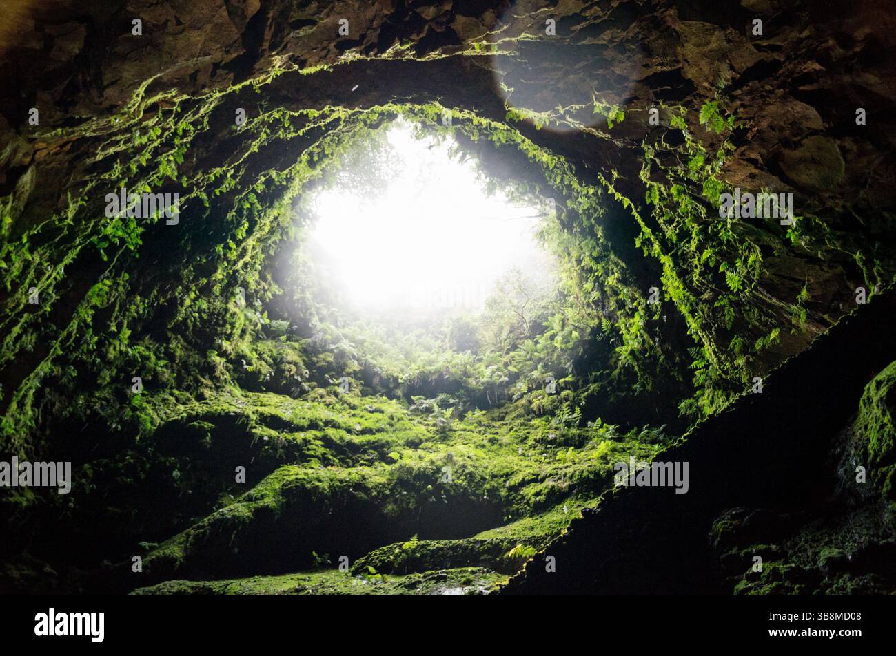 Photograph of the mouth of a volcano from the inside on Terceira Island ...