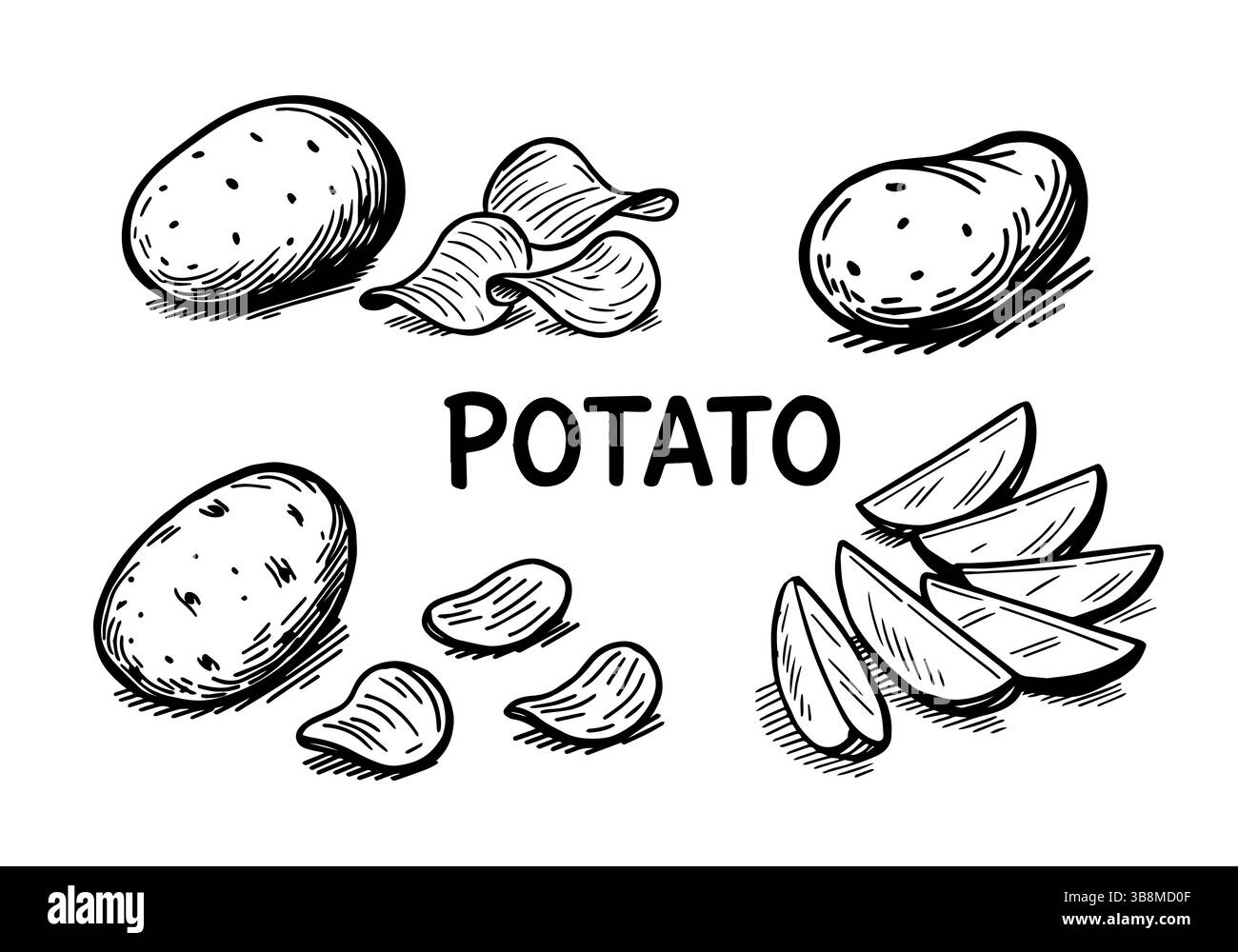 Vector set of potato drawings. Sliced pieces and chips. isolated ...