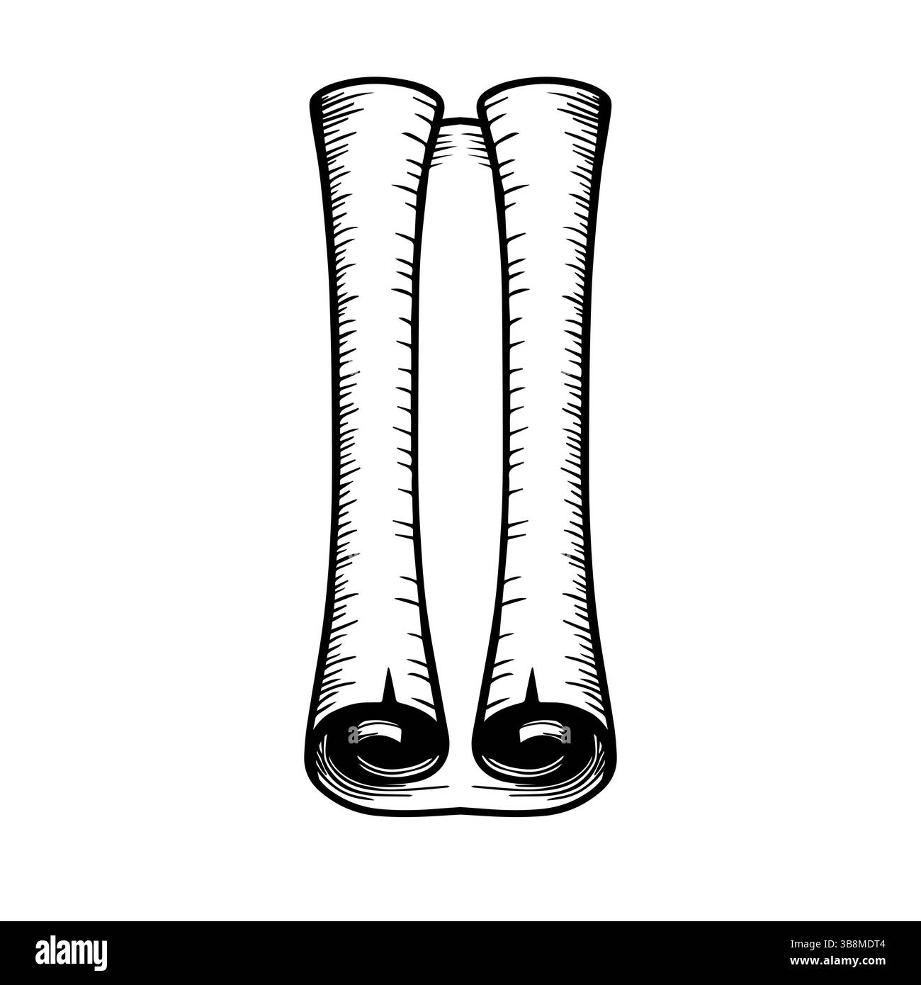 Scrolling paper map, parchment in vintage retro engraving style Stock ...