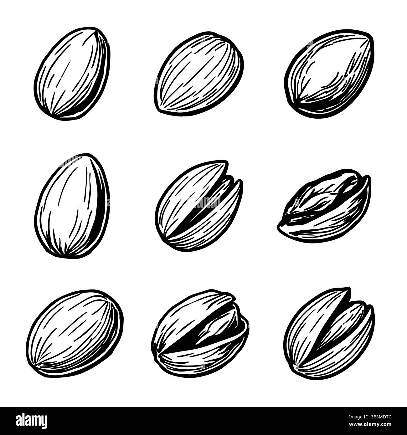 hand drawn sketch of pistachios. vector Nuts sketch Stock Vector Image ...