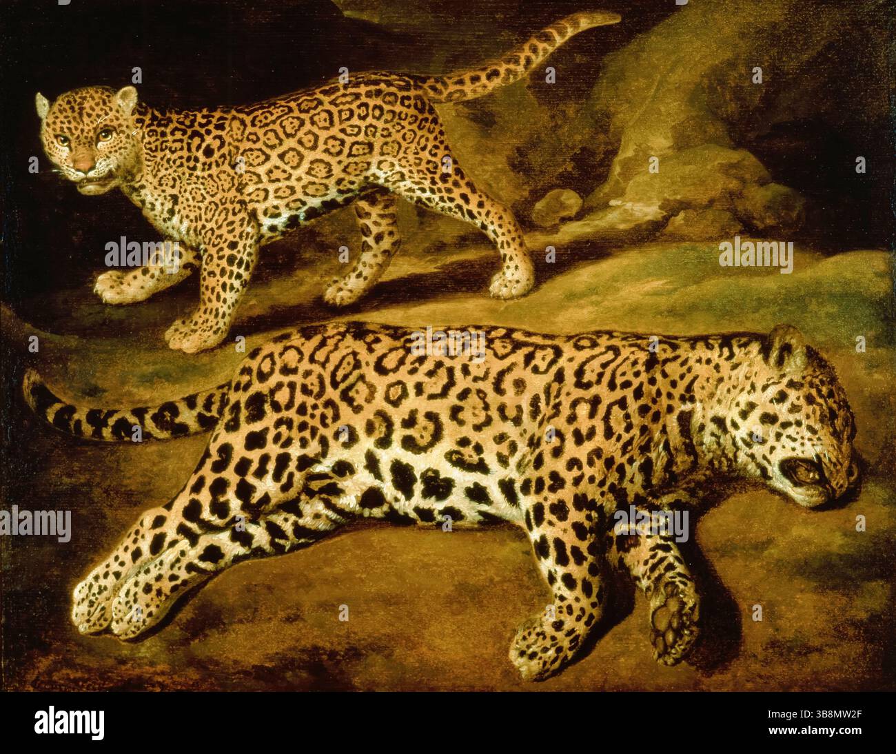 Jaguars painting hi-res stock photography and images - Alamy