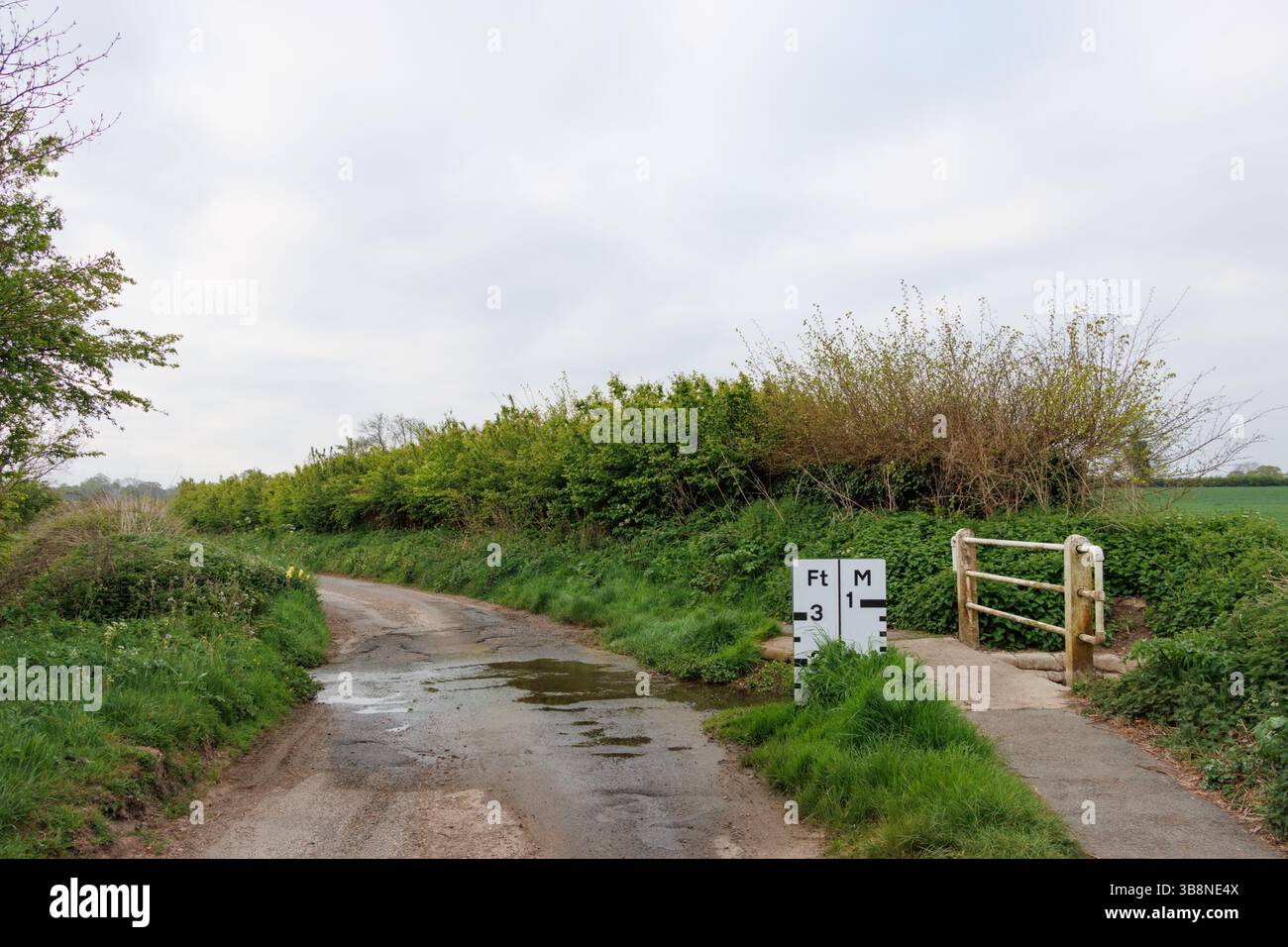 Ford crossing road in hi-res stock photography and images - Alamy