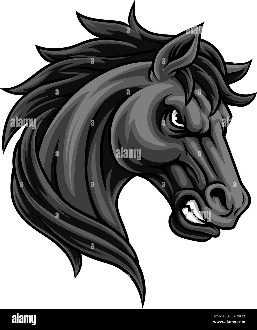 Hand stallion team hi-res stock photography and images - Alamy