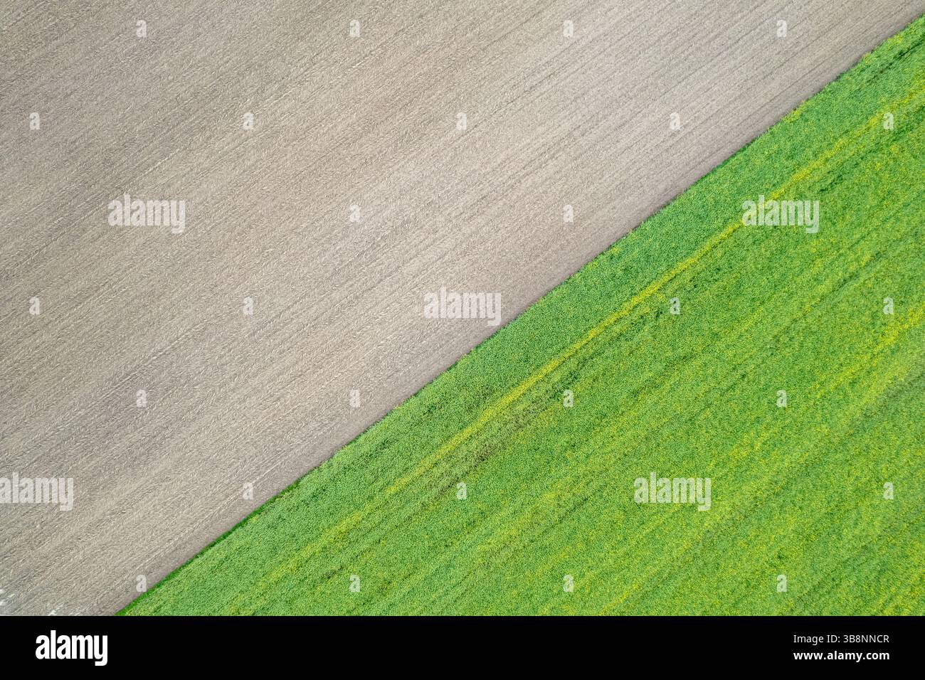 aerial perspective of a rural scene showing field division, top down ...