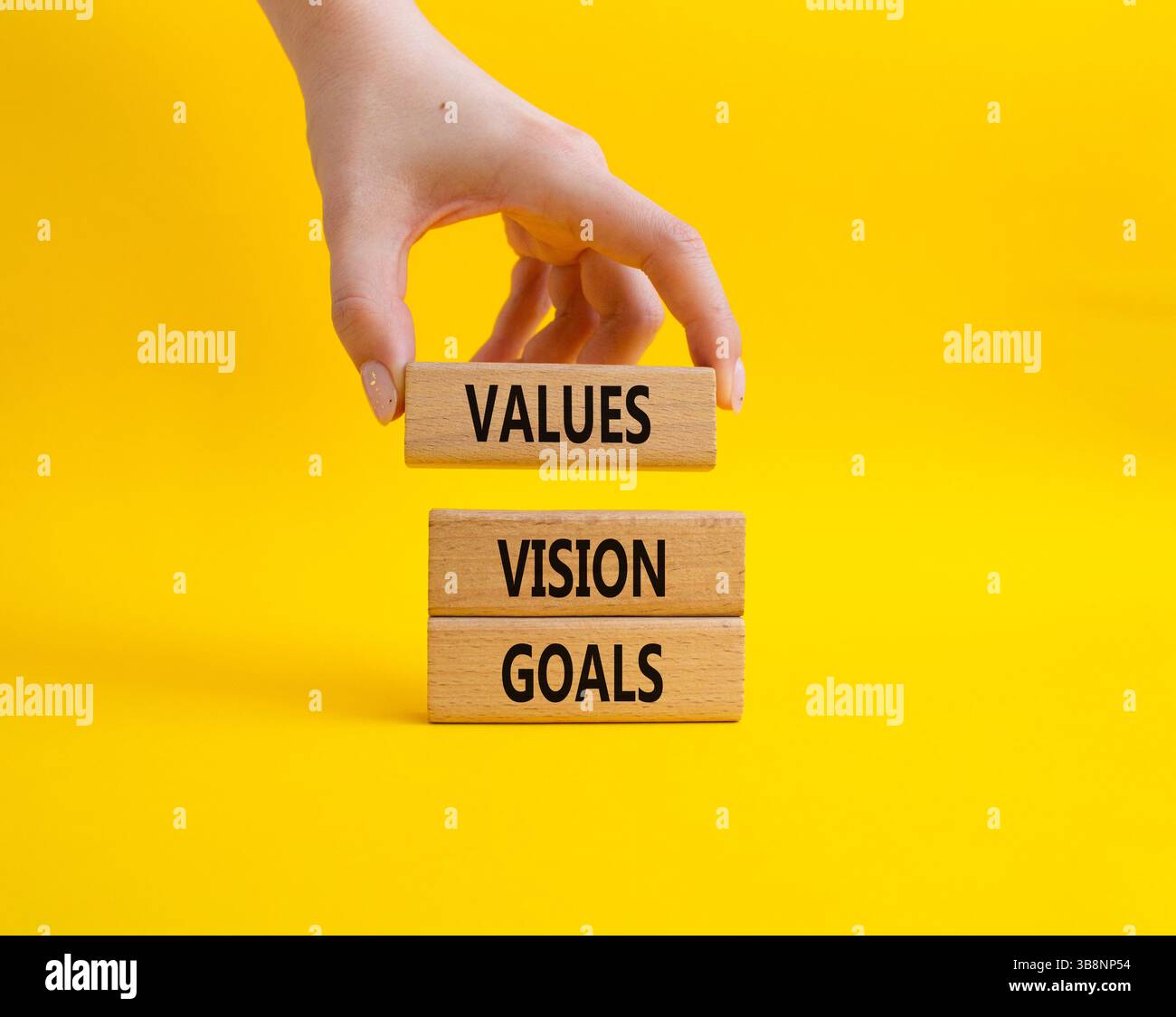 Values Vision Goals symbol. Concept words Values Vision Goals on wooden ...