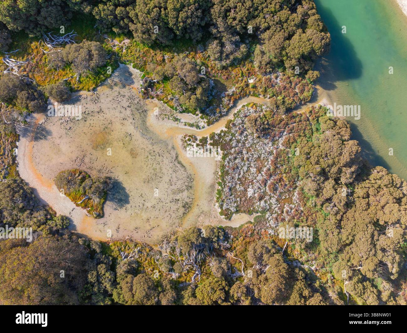 Aerial view of waterways and mangroves in coastal wetlands at Robe on ...