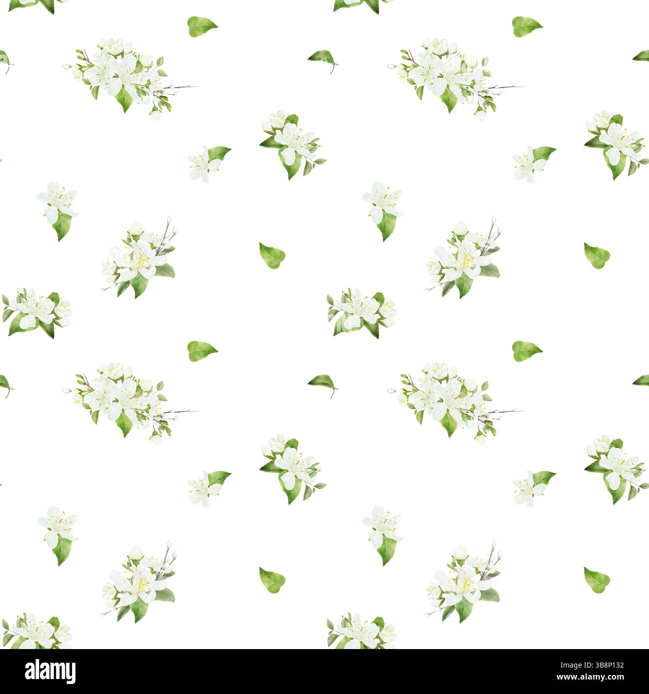 Sakura flowers buds leaves Cut Out Stock Images & Pictures - Alamy