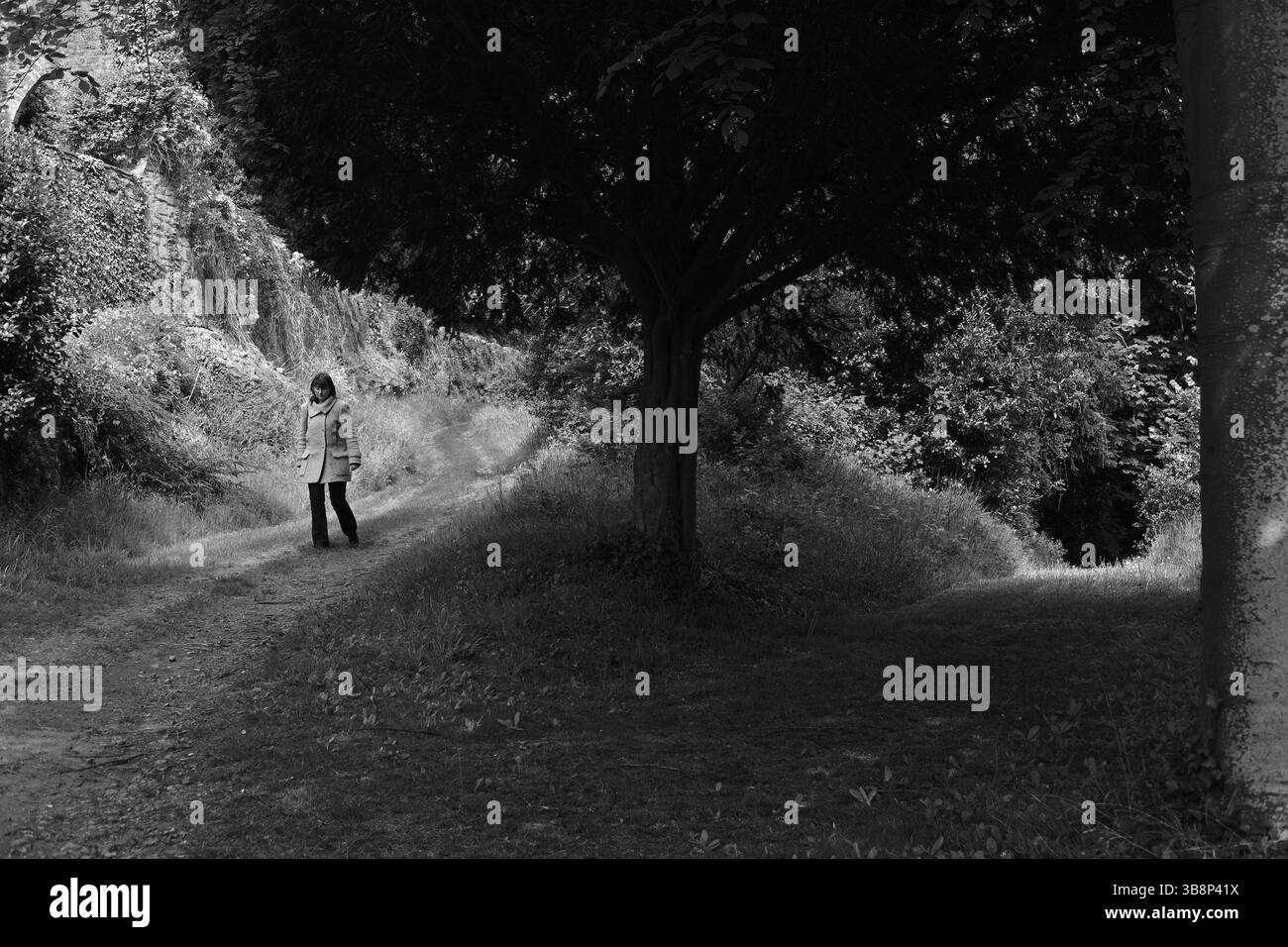 Choosing a path Black and White Stock Photos & Images - Alamy