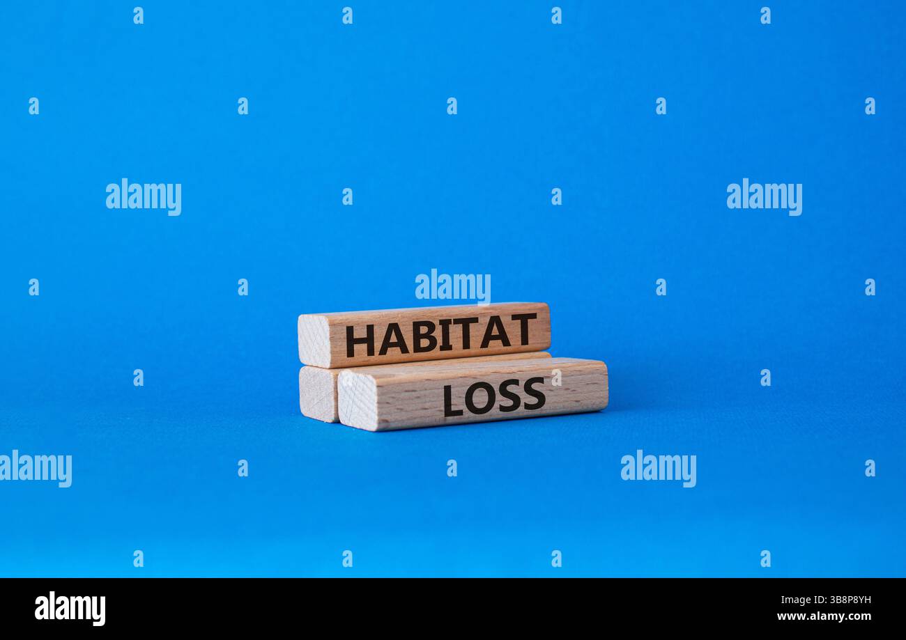 Habitat loss symbol. Wooden blocks with words Habitat loss. Beautiful ...