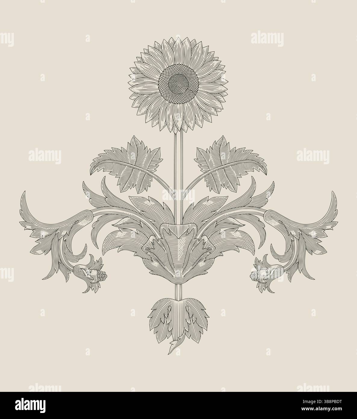 sunflower with floral ornament, Vintage engraving drawing style vector ...