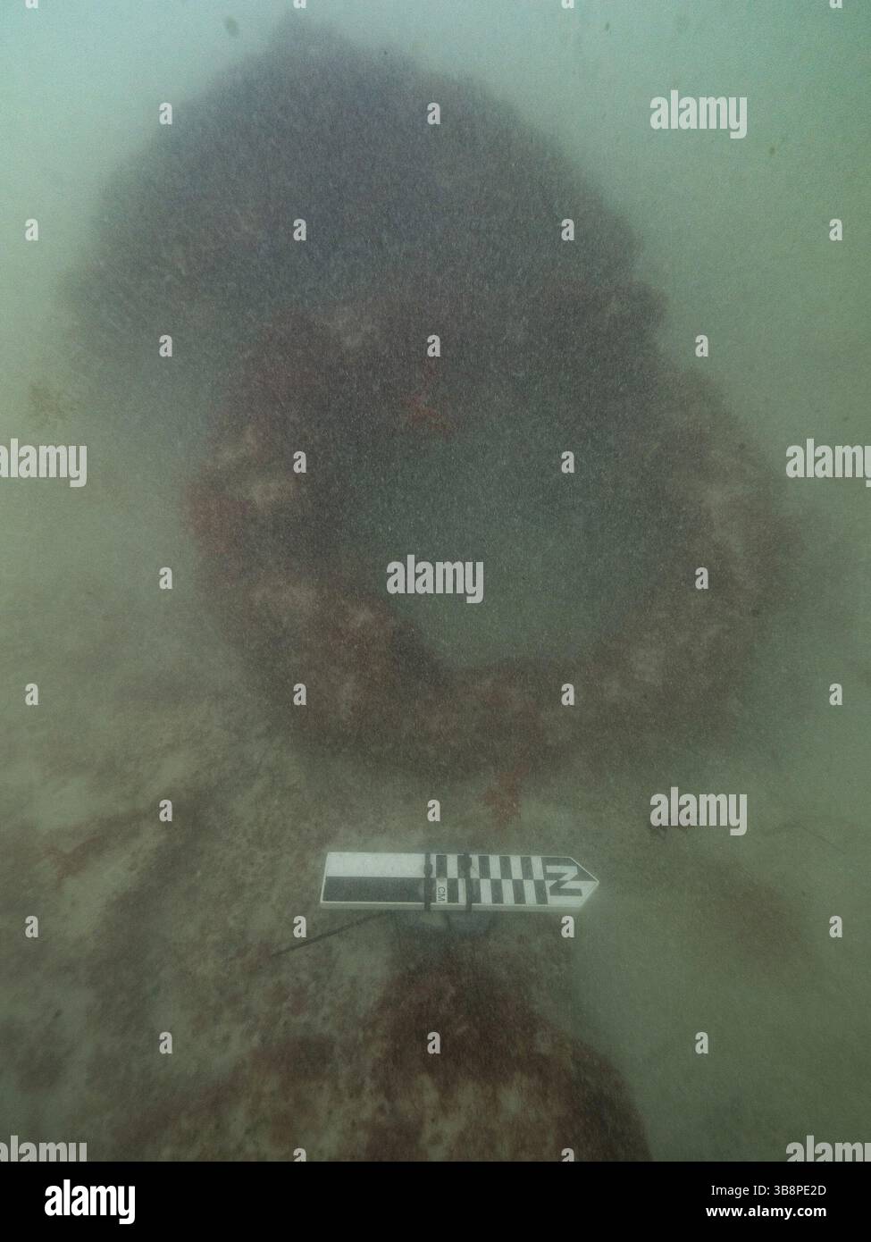 Canberra. 8th May, 2025. This photo taken on March 9, 2025 shows iron ...