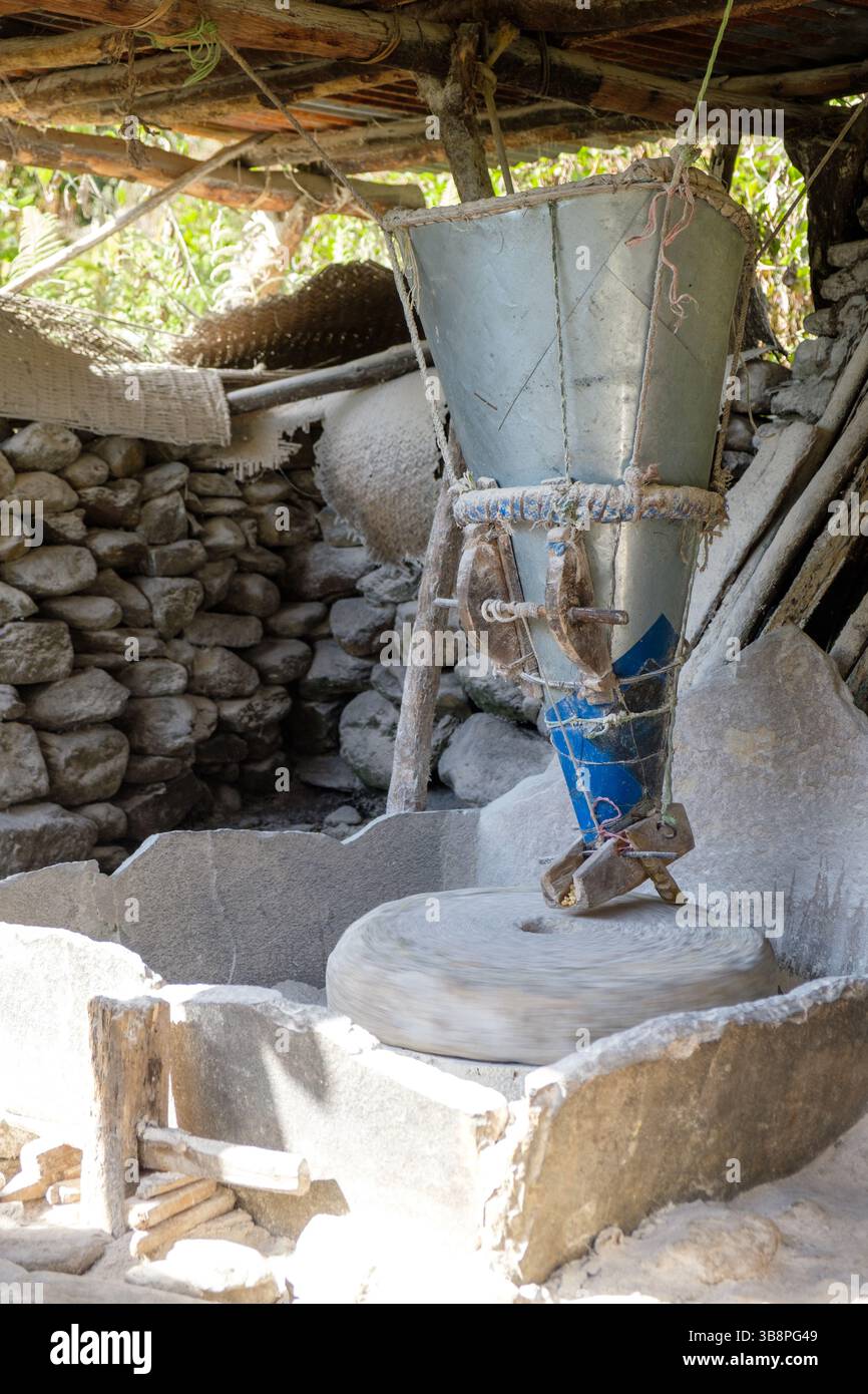 Traditional stone mill grinds grain into flour. A sustainable food ...