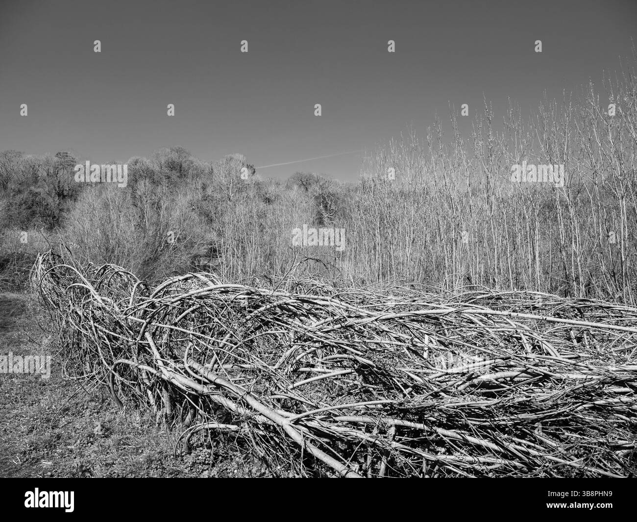 Barton farm Black and White Stock Photos & Images - Alamy