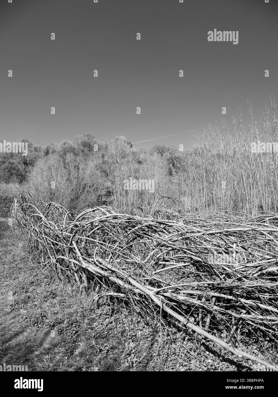 Barton farm county park hi-res stock photography and images - Alamy