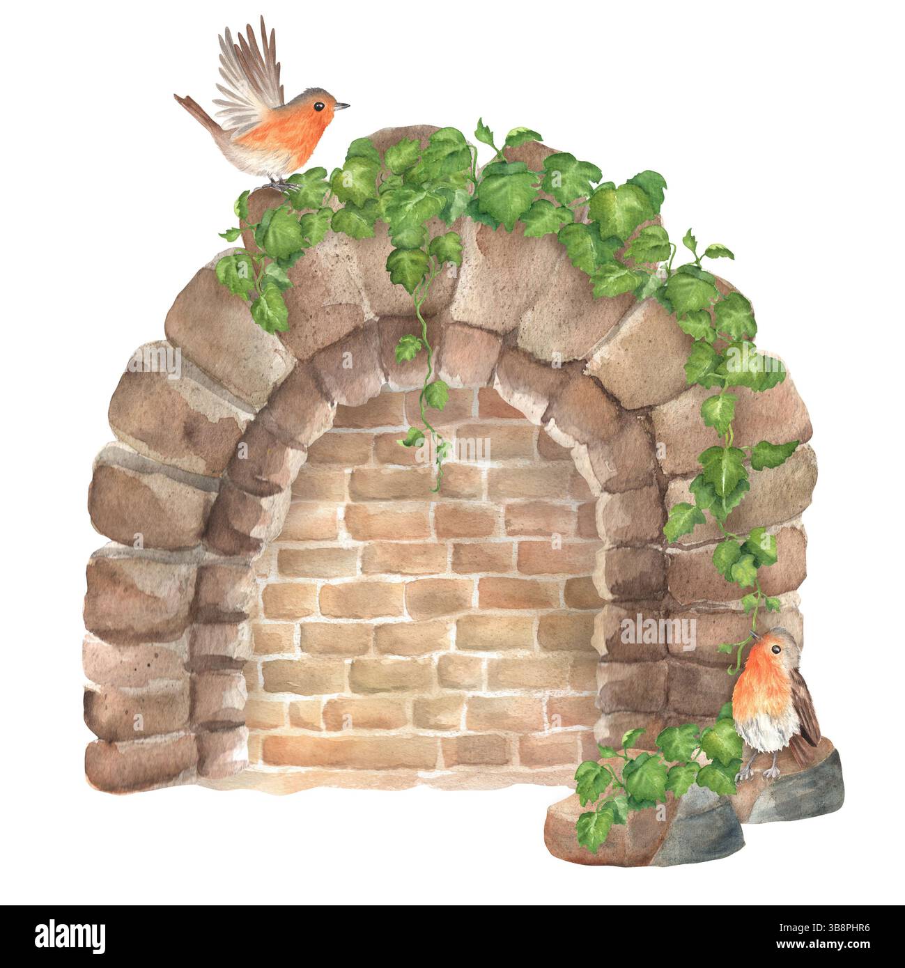 Ivy arch isolated Cut Out Stock Images & Pictures - Alamy