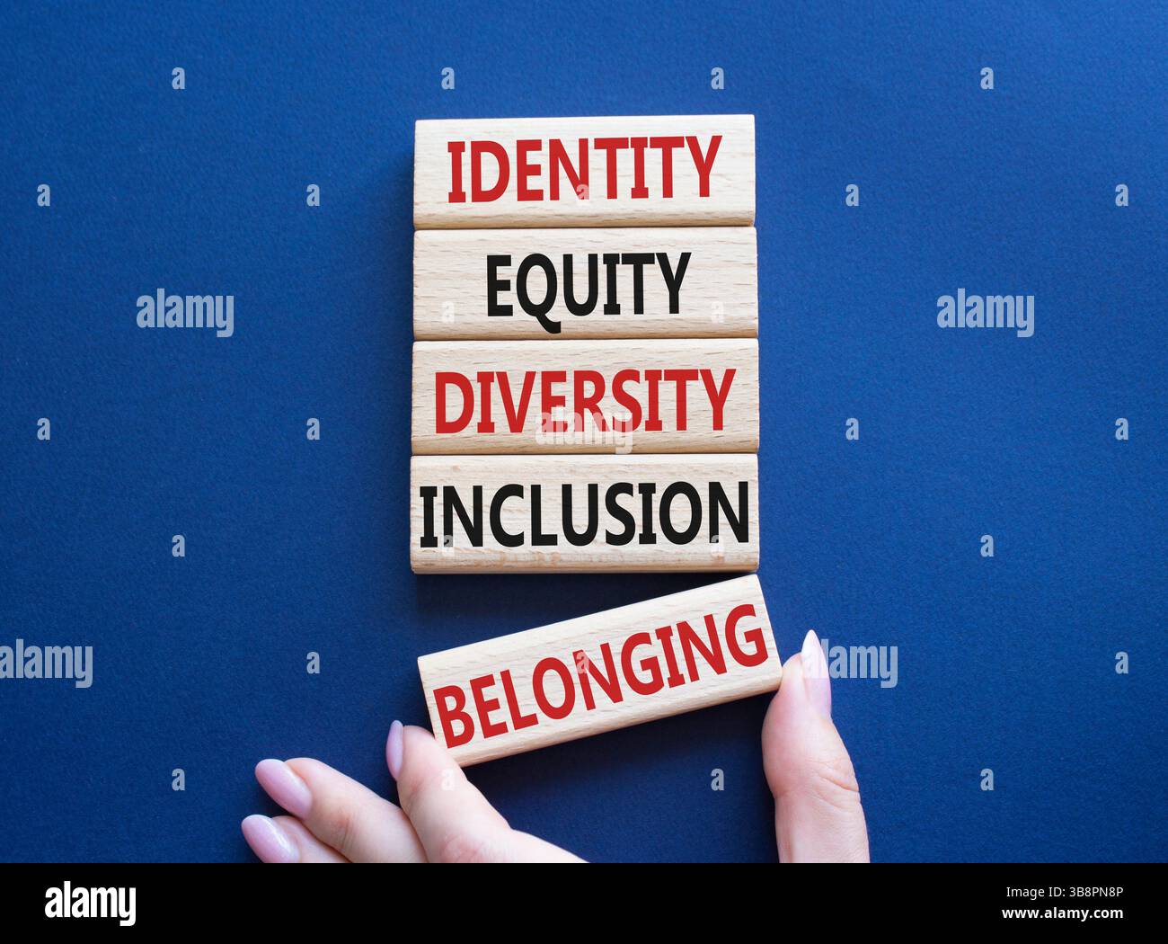 Identity Equity Diversity Inclusion Belonging symbol. Concept words ...