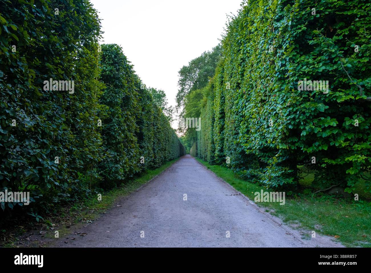 Straight hedges hi-res stock photography and images - Alamy