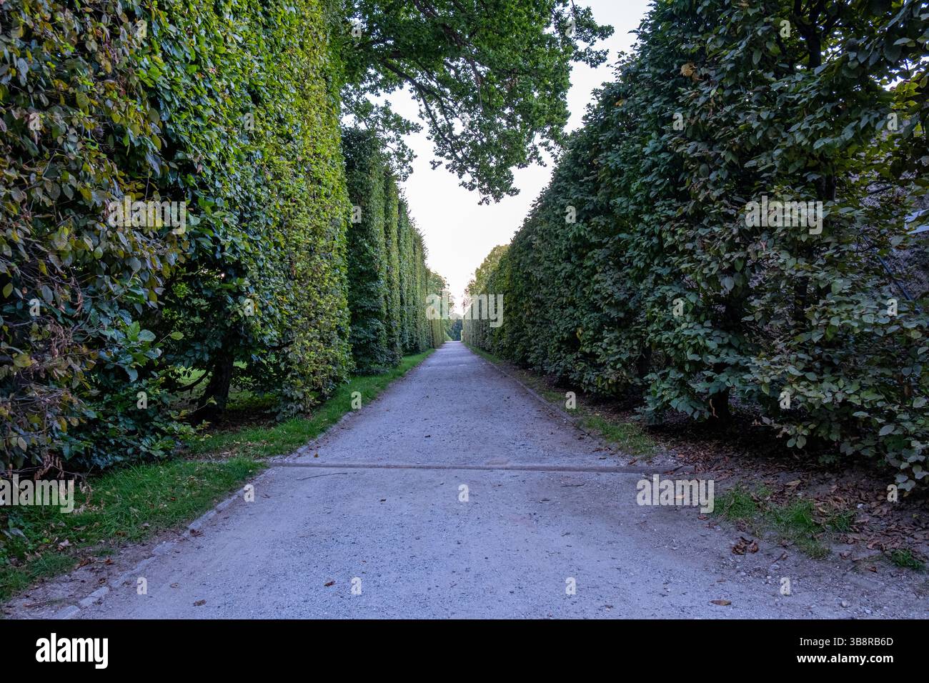 Straight hedges hi-res stock photography and images - Alamy