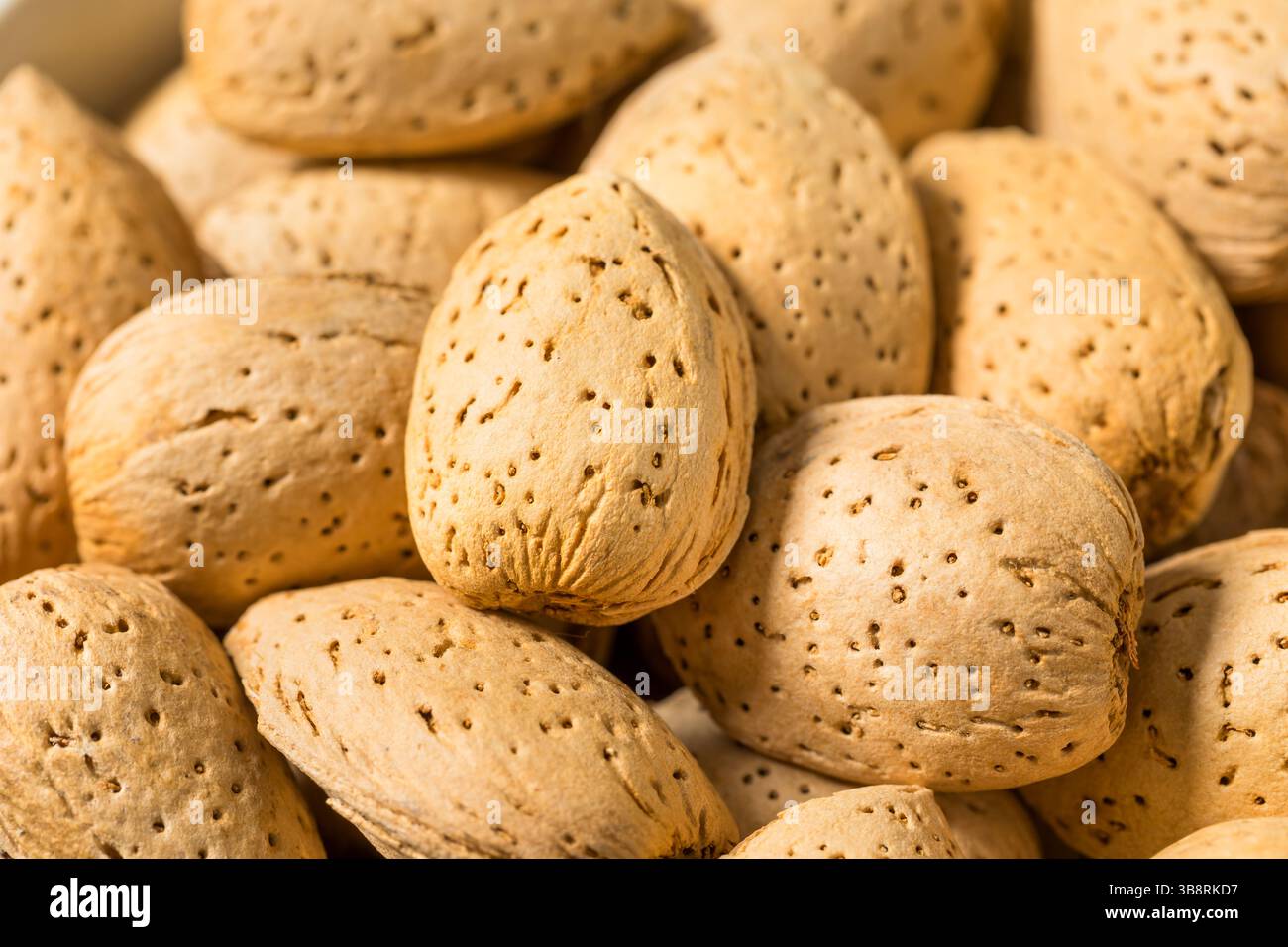 Organic Raw Almond Nuts in their Shells Stock Photo - Alamy