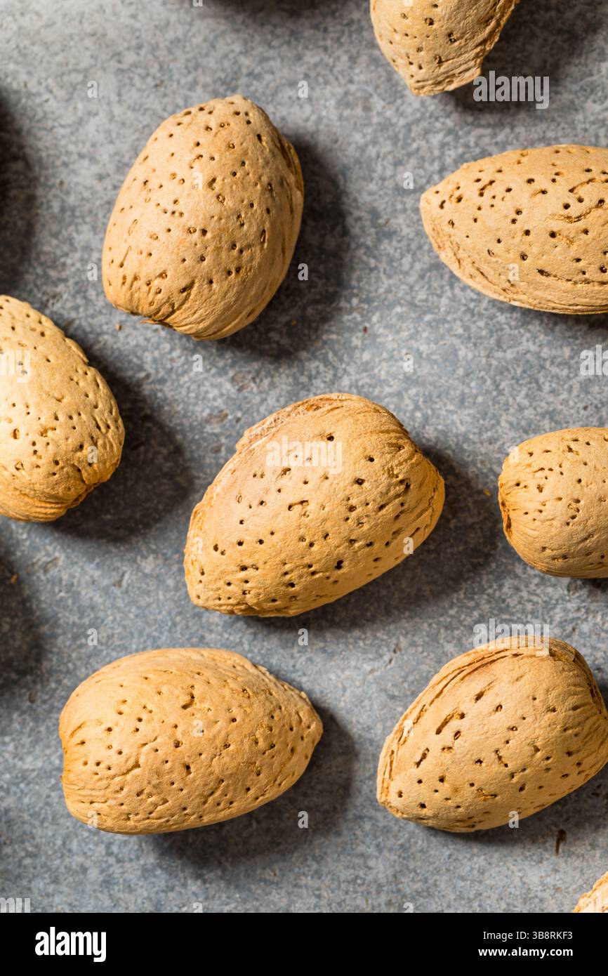 Organic Raw Almond Nuts in their Shells Stock Photo - Alamy