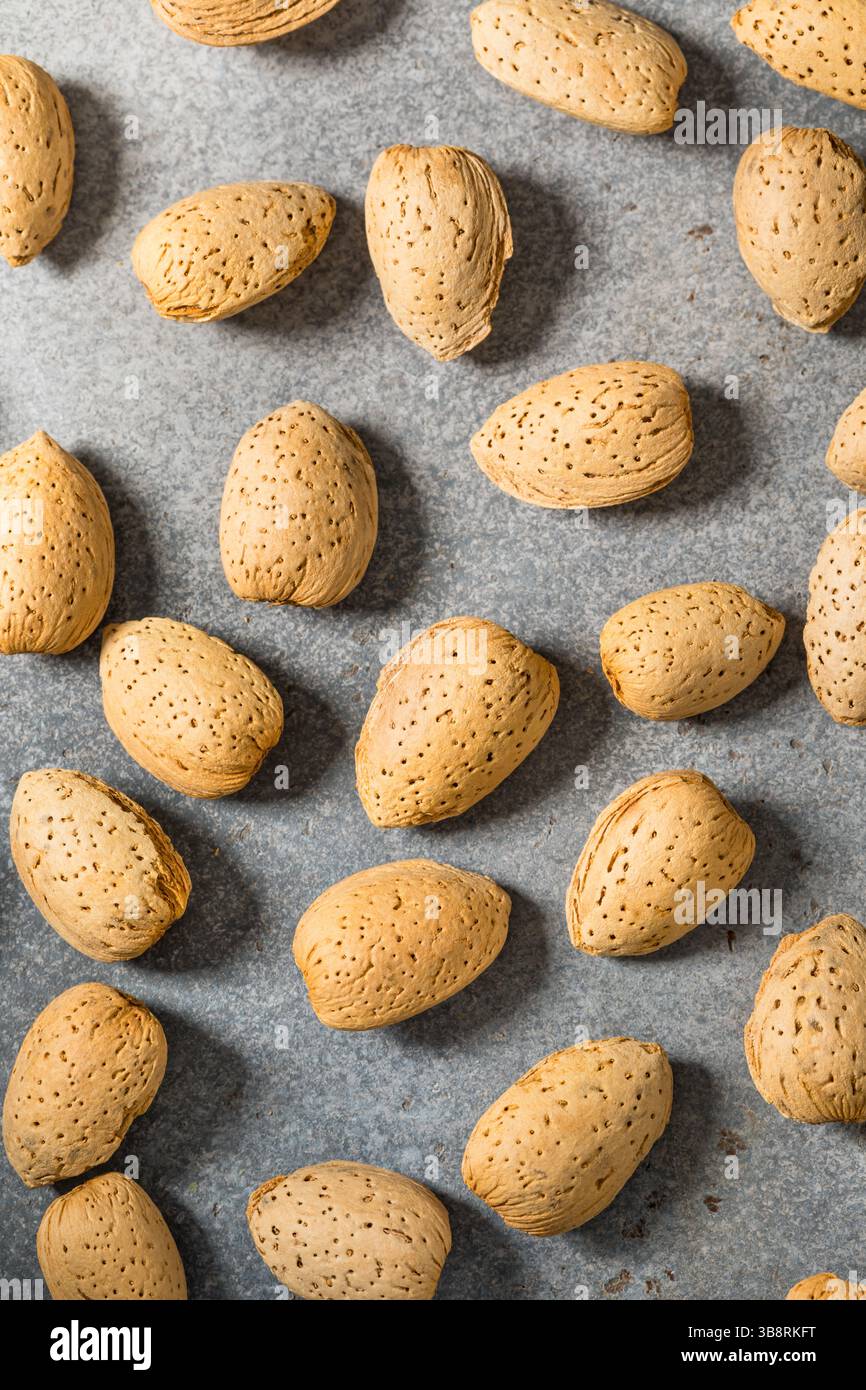 Almond nuts in shells hi-res stock photography and images - Alamy