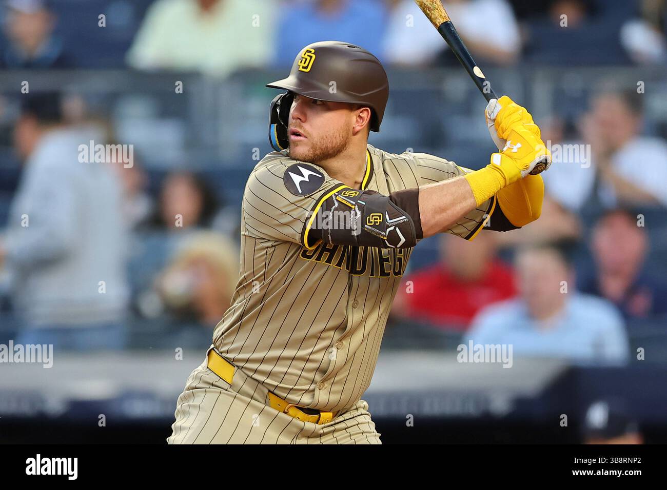 BRONX, NY - MAY 07: Gavin Sheets #30 of the San Diego Padres at bat ...
