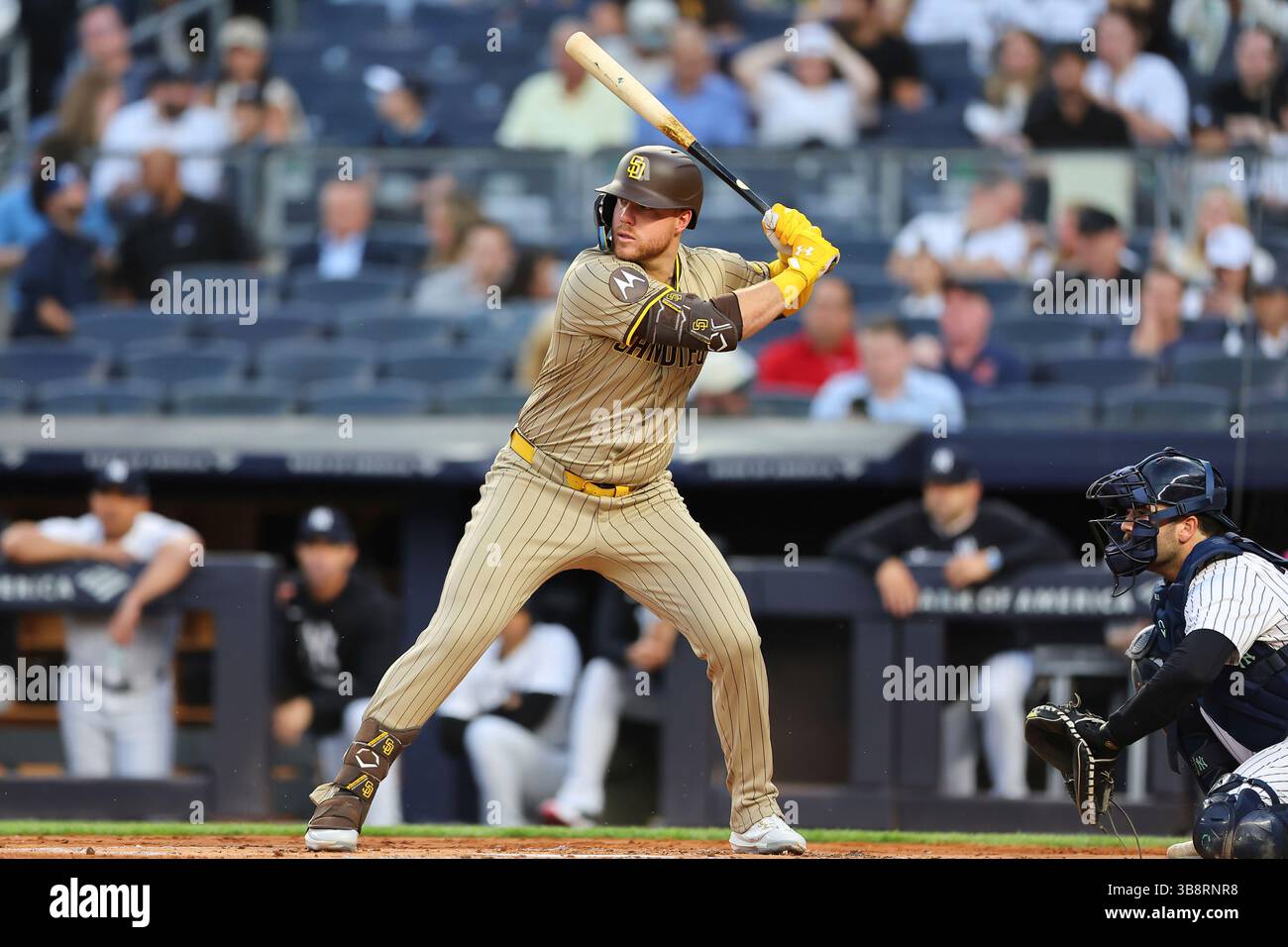 BRONX, NY - MAY 07: Gavin Sheets #30 of the San Diego Padres at bat ...