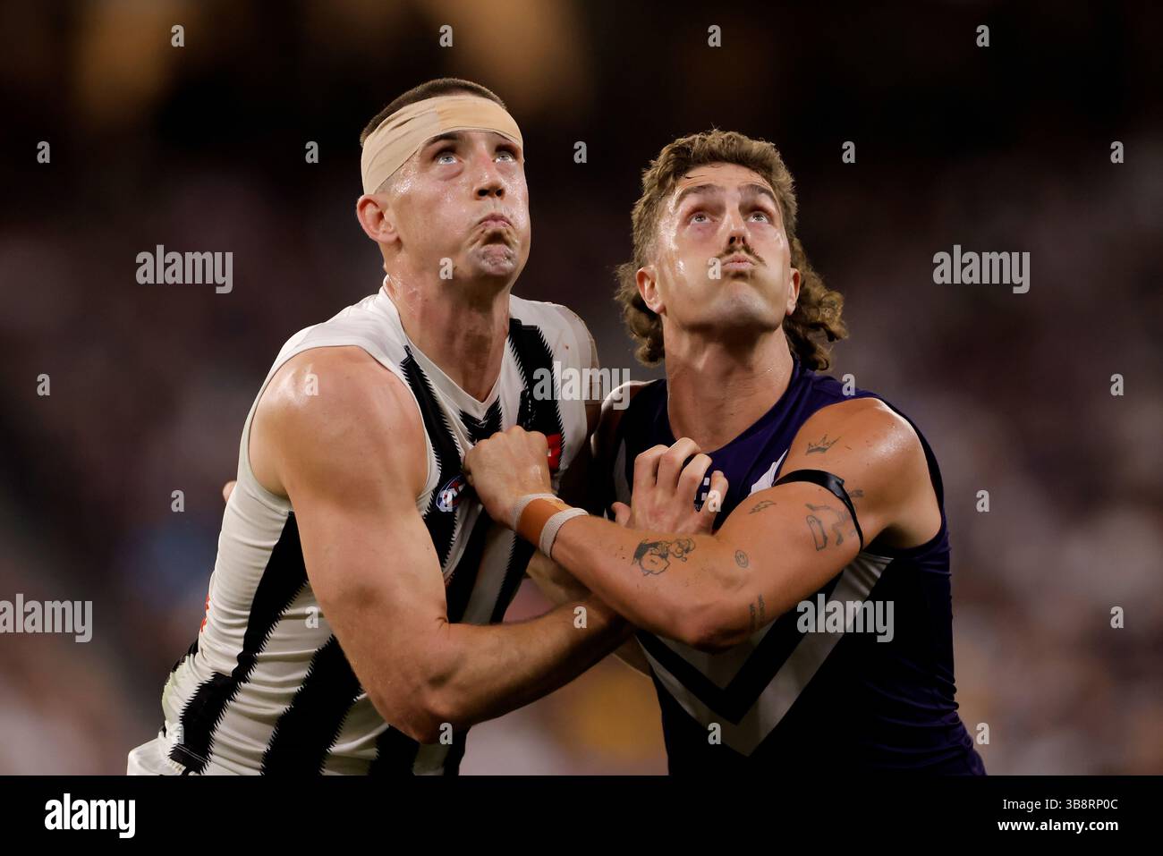 Perth, Australia. 08th May, 2025. Darcy Cameron of the Magpies and Luke ...