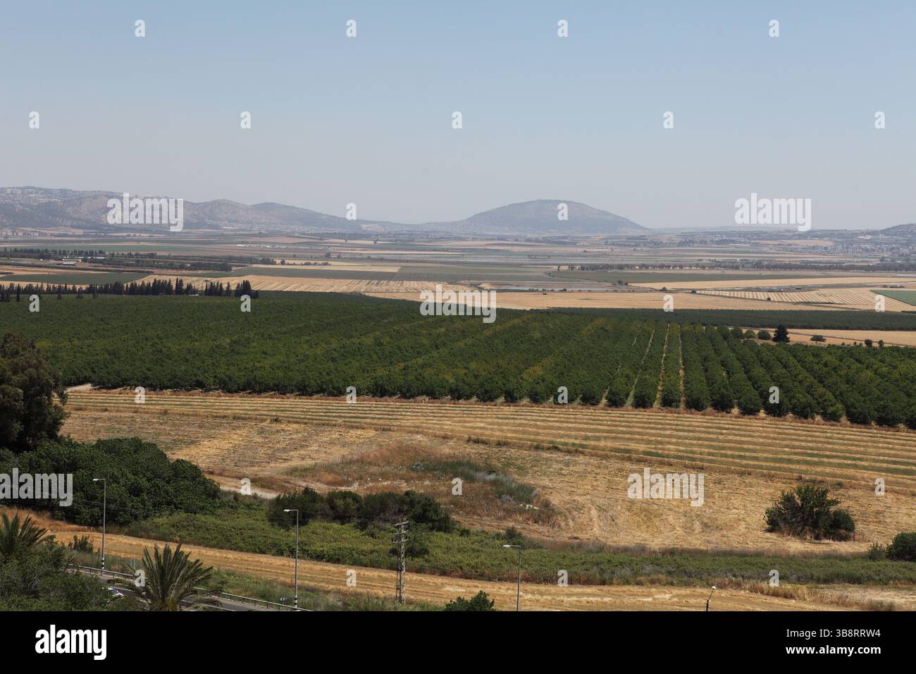 Fields & orchards, agriculture, the Valley of Jezreel or Valley of ...