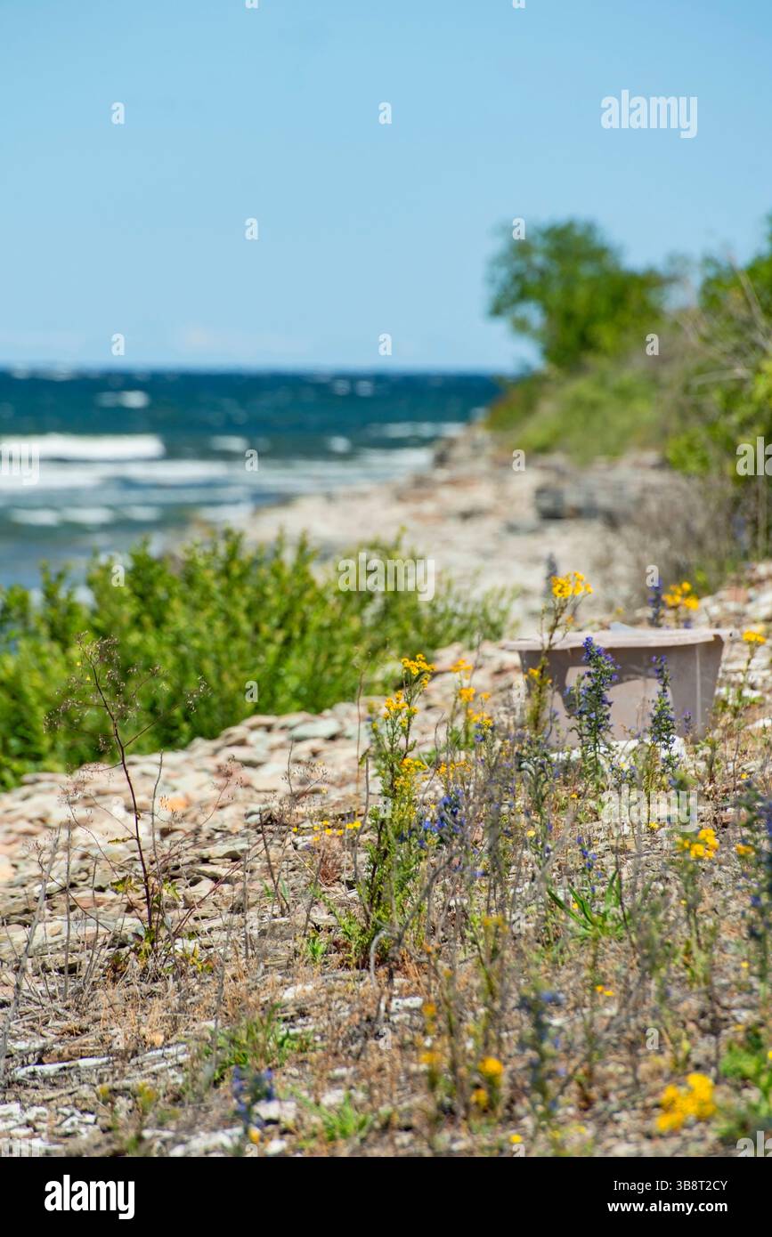 Vertival image hi-res stock photography and images - Alamy